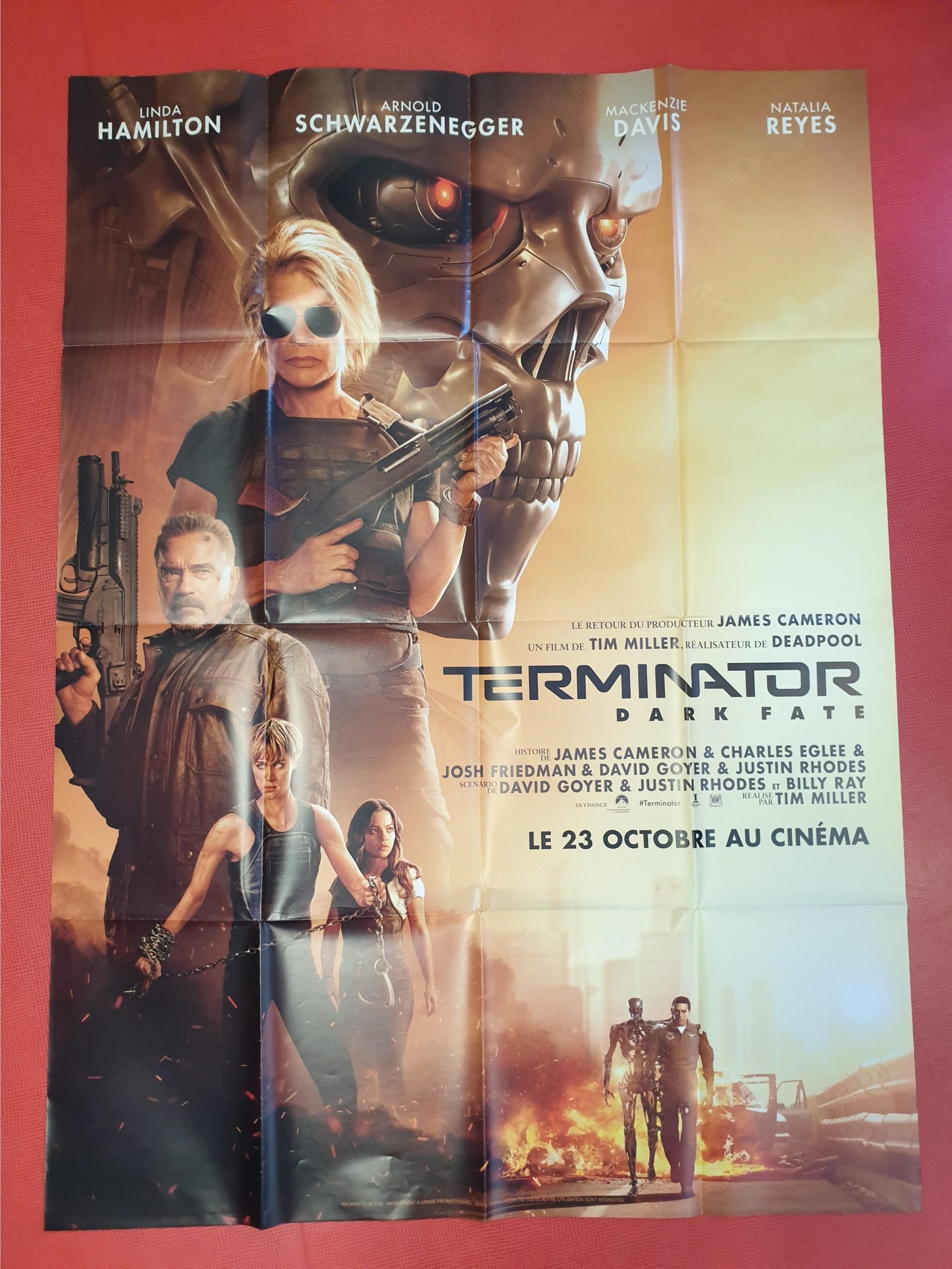 Affiche cinéma Terminator Dark fate - Cinéma Paradisio Affiches