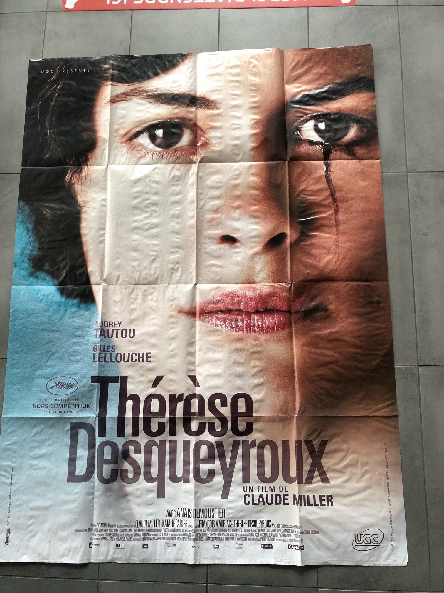 Affiche du film "Thérèse Desqueyroux" (2012)