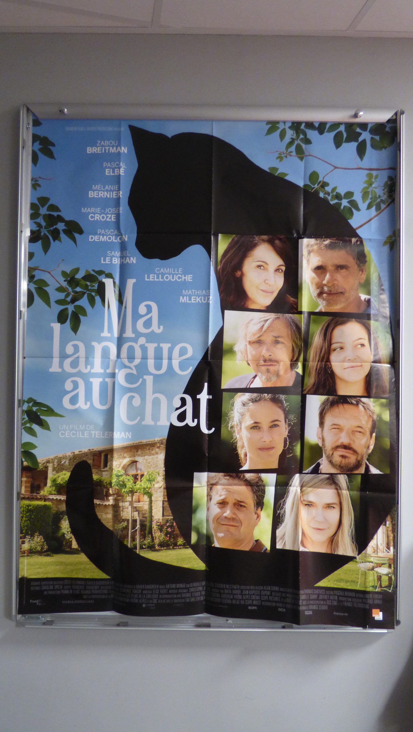 Affiche de cinéma du film "Ma langue au chat"